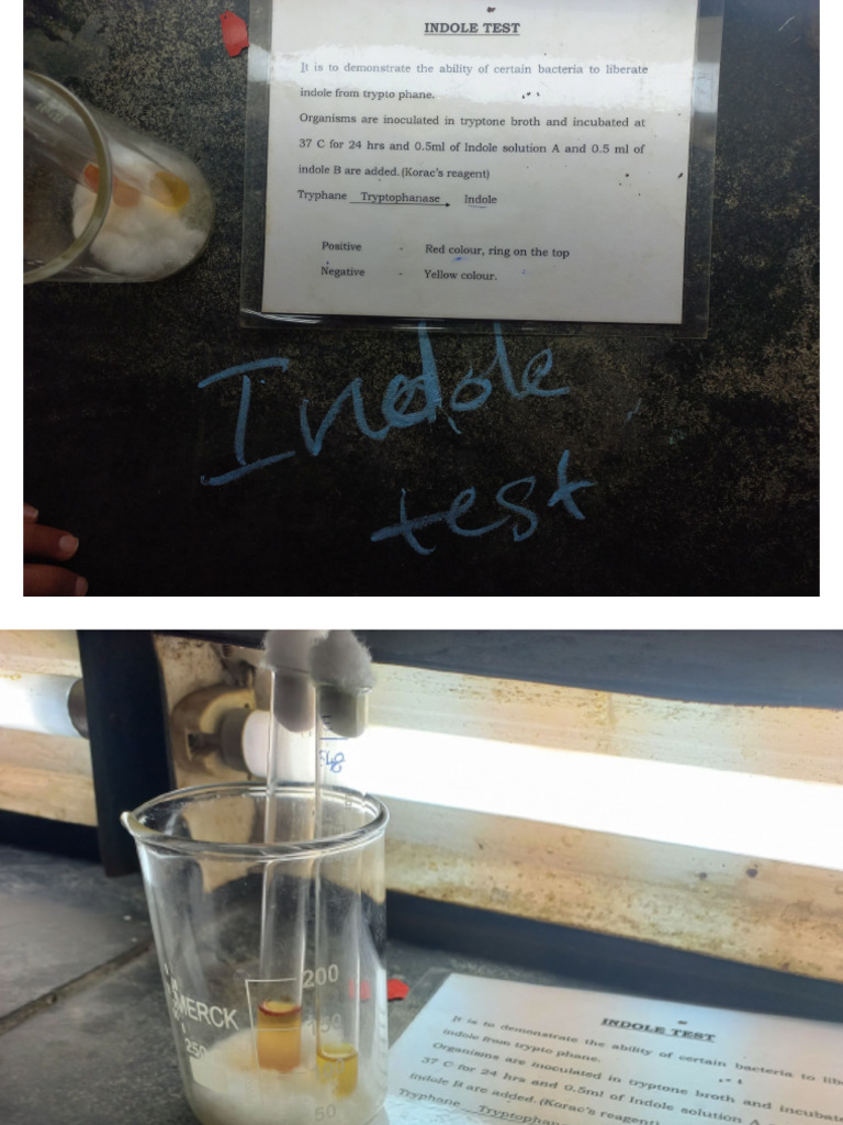 micro spotters-1 (2) | PDF