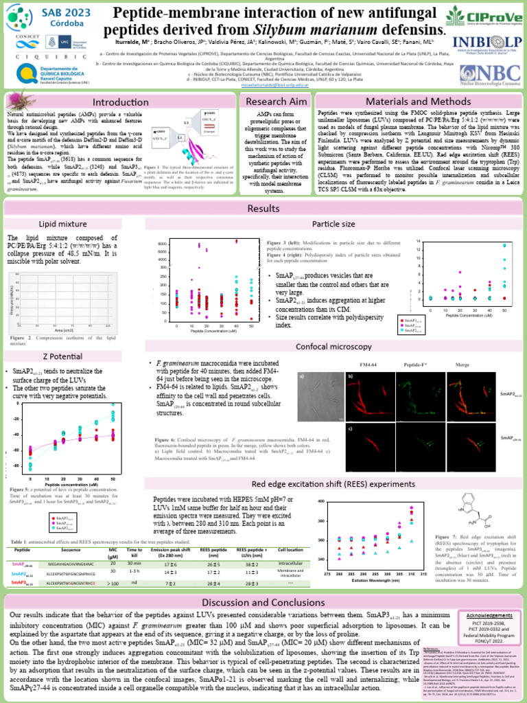 Póster SAB 2023 micaela iturralde | PDF | Confocal Microscopy | Biology