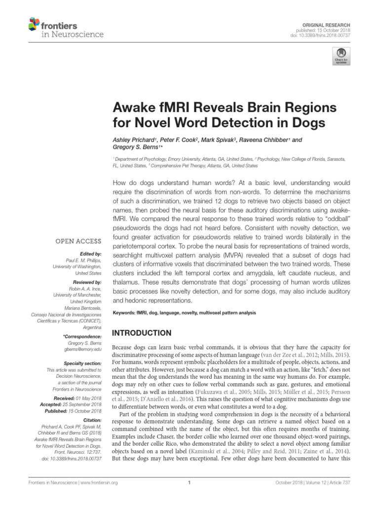 Awake fMRI Reveals Brain Regions for Novel Word Detection in Dogs | PDF ...