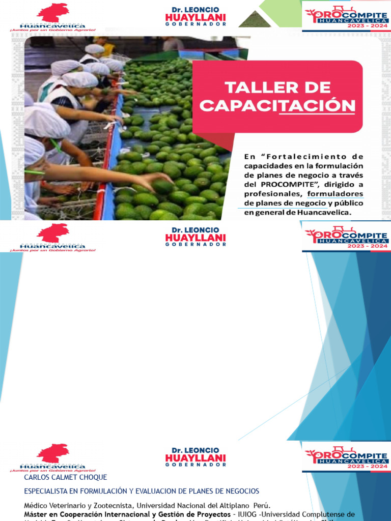 Taller de Capacitacion Procompite Huancavelica 2024 Carlos Calmet | PDF ...