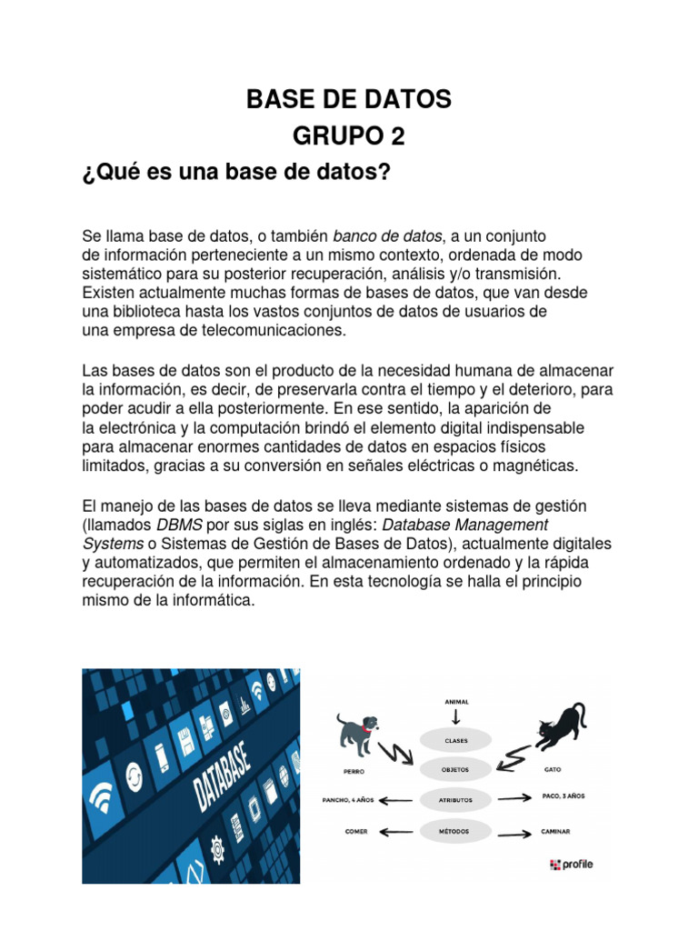 Base de Datos | PDF | Bases de datos | Objeto (informática)