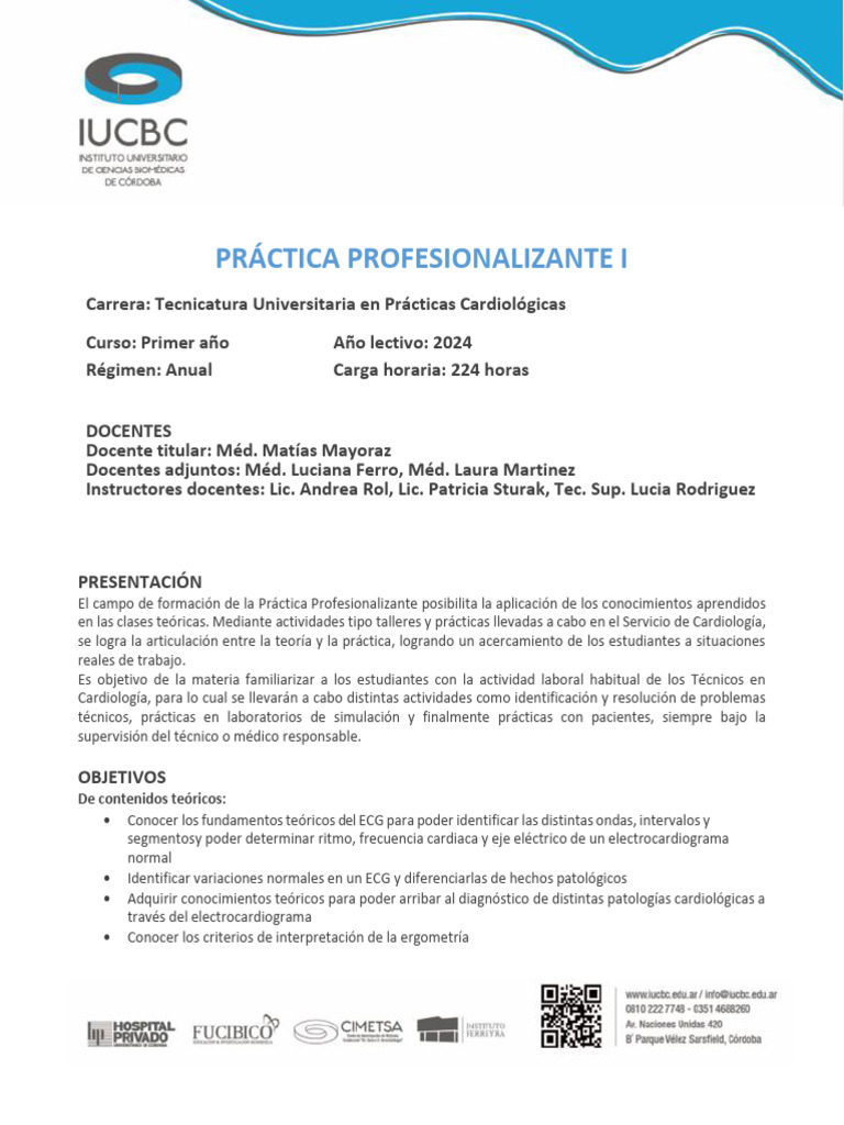 Práctica Profesionalizante I (Tupc) - Programa Académico 2024 | PDF ...