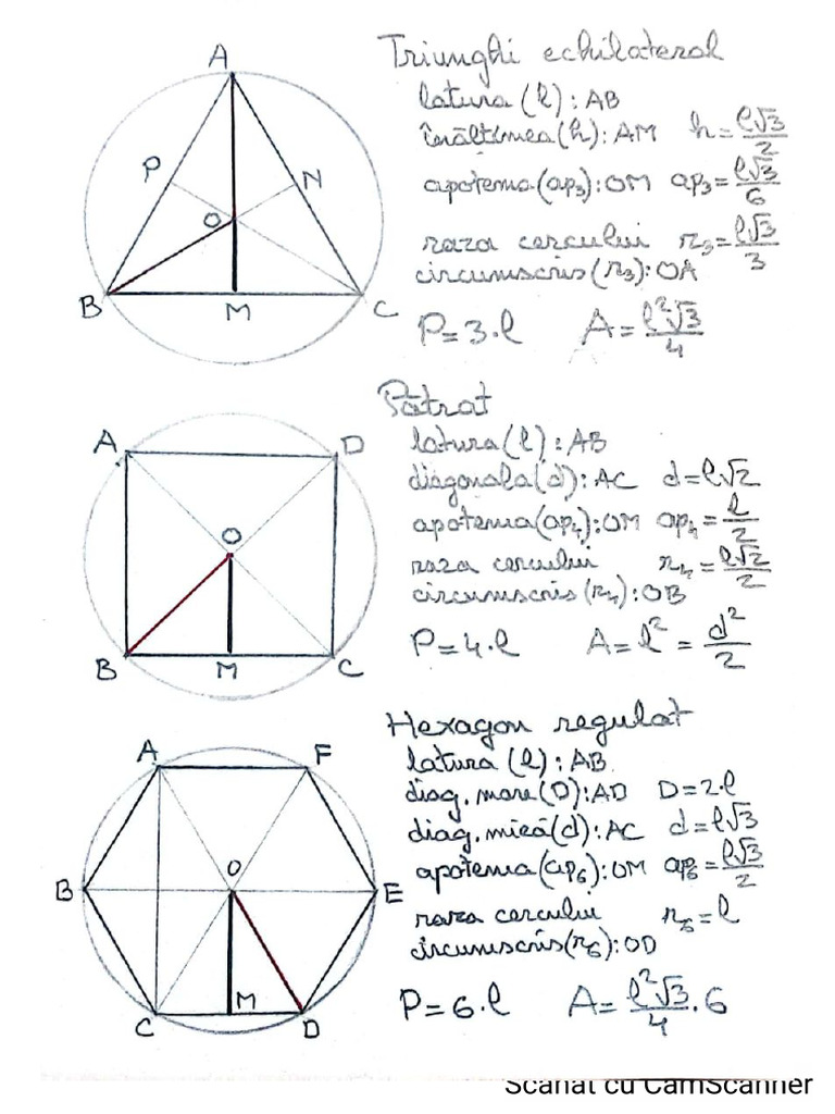 Formule Poligoane Regulate | PDF