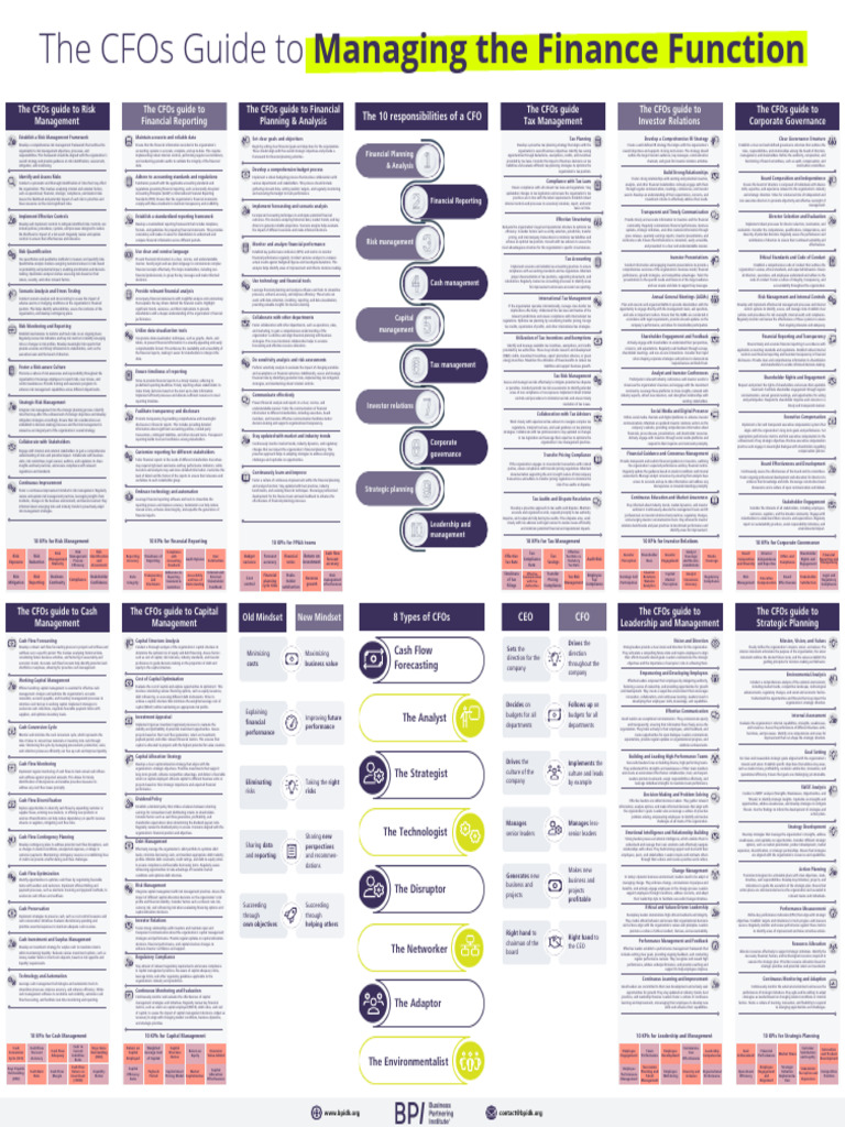 CFOs Guide To Managing The Finance Function | PDF | Chief Financial Officer | Risk