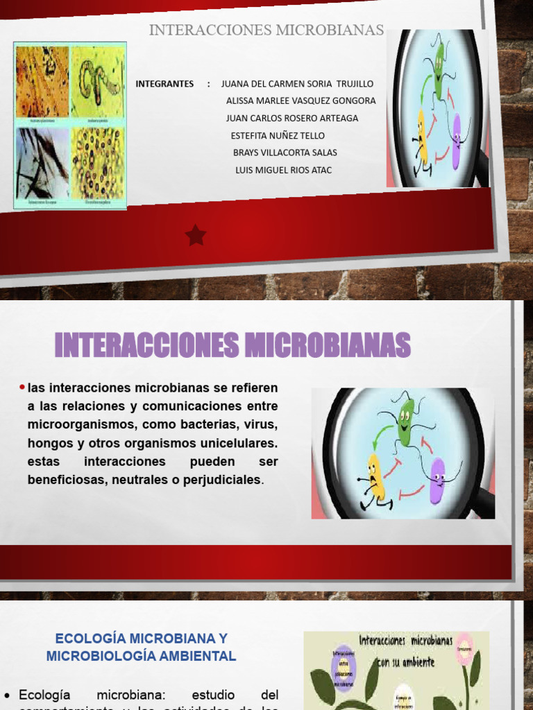 Interacciones Microbianas y Ecología | PDF | Microorganismo | Parasitismo