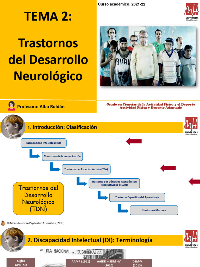 Tema 2. Trastornos Del Neurodesarrollo | PDF | Discapacidad intelectual | Manual Diagnóstico y ...