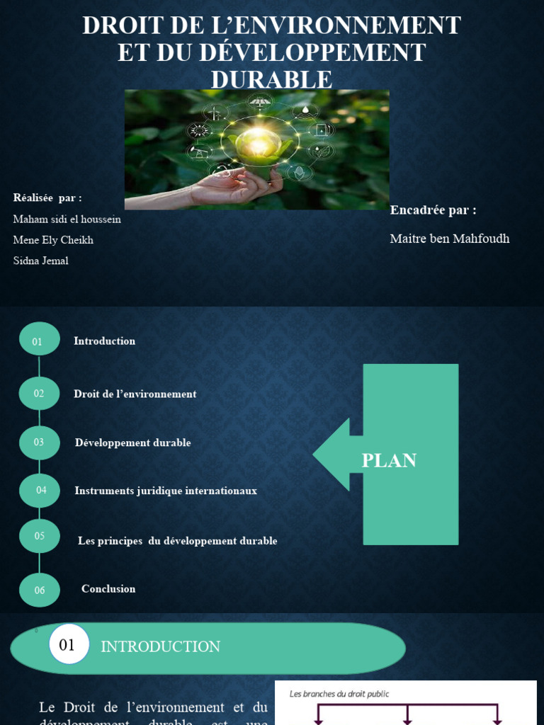 Projet Deroit | PDF | Développement durable | Environnement naturel