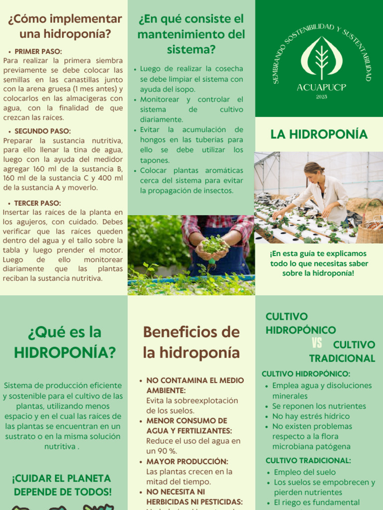 Tríptico Hidroponía | PDF | Hidroponia | Agricultura