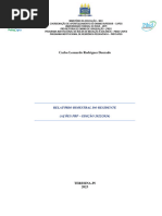 CAPES- Modelo Relatório Word- PIBID (ALUNOS) | PDF | Escolas