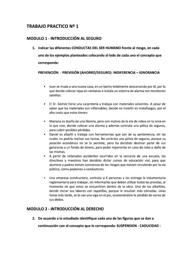Trabajo Practico N 1 | PDF