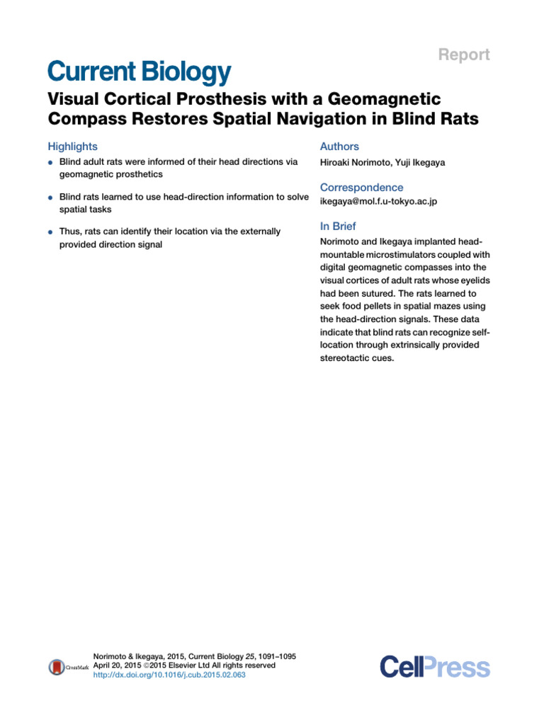 H. Norimoto Y. Ikegaya - Visual Cortical Prosthesis With A Geomagnetic Compass Restores Spatial ...