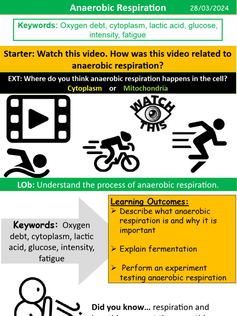 Anaerobic Respiration FERMENTATION | PDF | Cellular Respiration ...