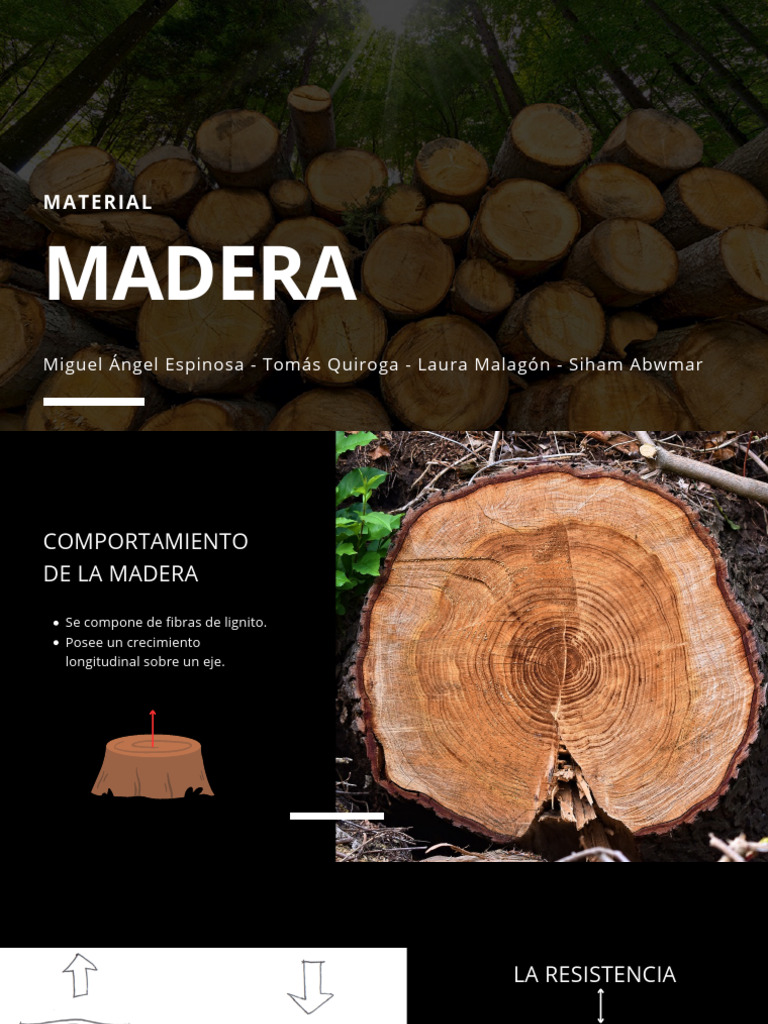 Comportamiento y Tipos de Madera en Construcción | PDF | Madera ...
