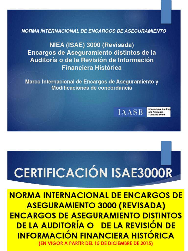 Curso Niea 3000 (R) Aseguramientomrg | PDF | Auditoría | Contabilidad