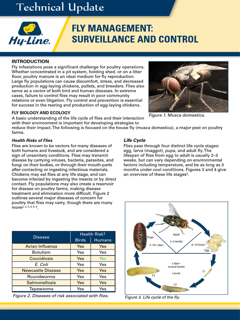TU FLY ENG | PDF | Insecticide | Fly