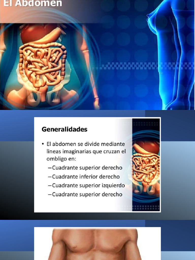 Examen de Abdomen | PDF