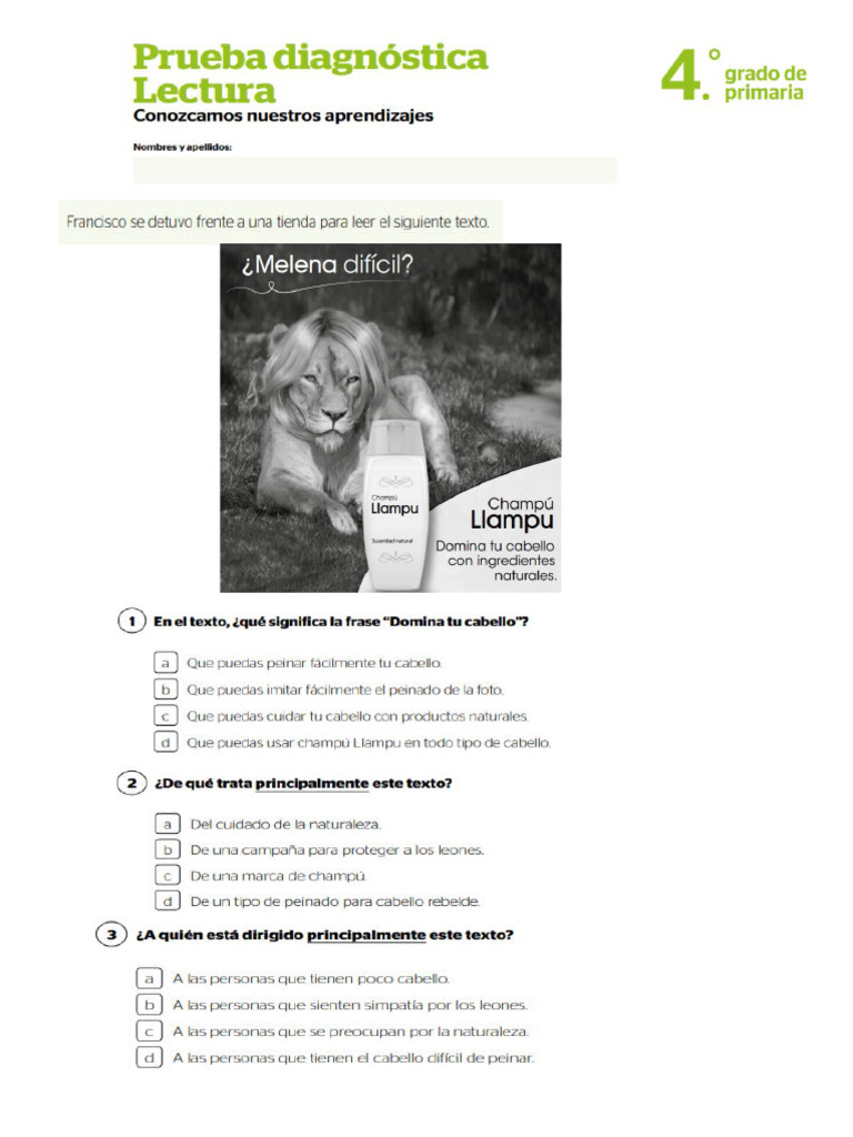 Prueba Diagnostica Lectura | PDF