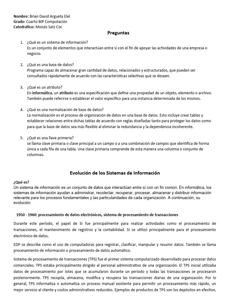 Evolución de Los Sistemas de Información | PDF | Red de computadoras | Informática
