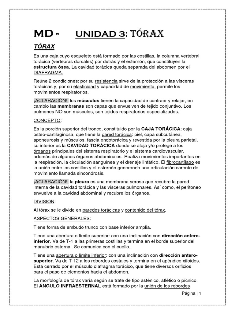 Resumen U3 MD | PDF | Laringe | Nariz humana