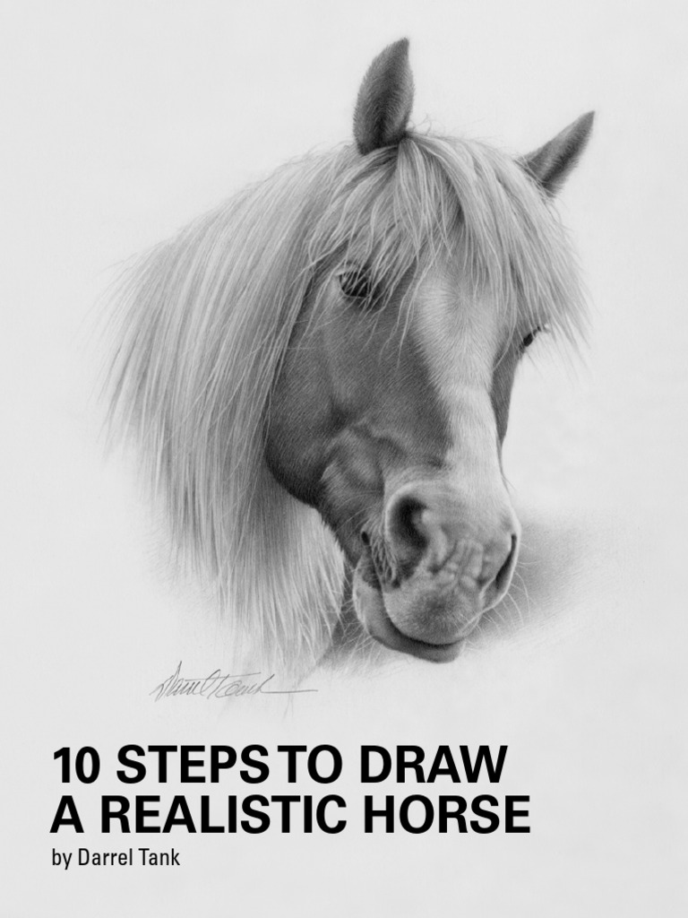 Draw a Realistic | PDF | Drawing | Hair