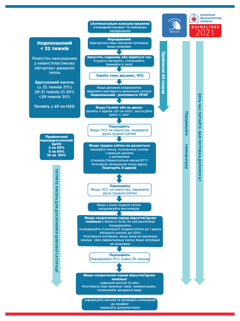 NLS Algorithms Portrait - Ukr | PDF