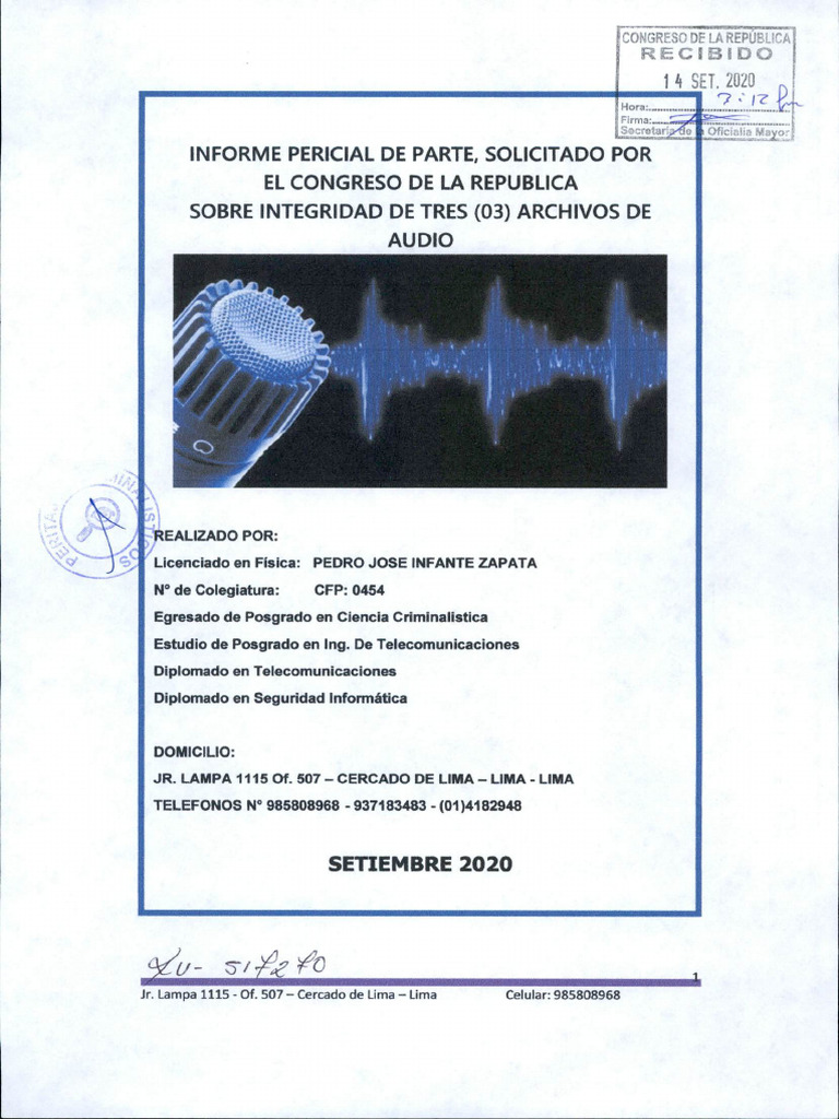Informe Pericial Digital Forense | PDF