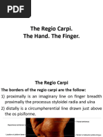 Palmar Hand Anatomy Overview | PDF | Hand | Musculoskeletal System