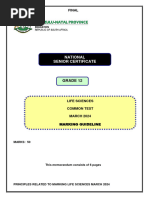 Putco Zone Guide | PDF