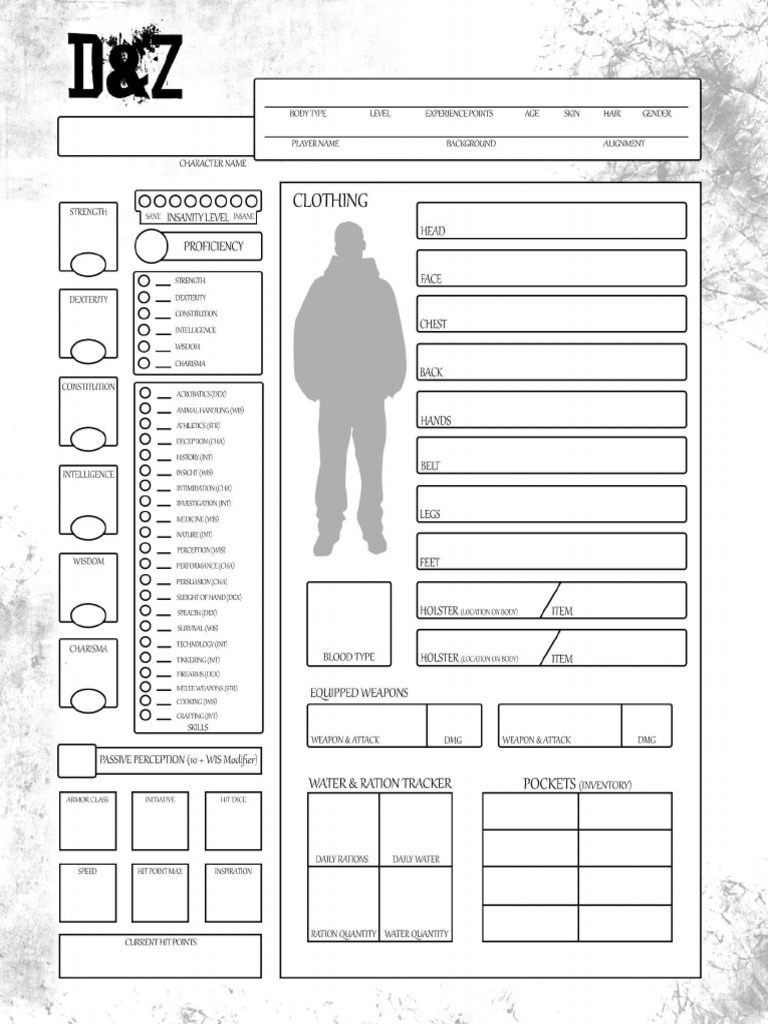 D&Z Character Sheet | PDF