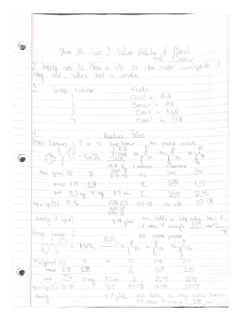 Lab J Notebook Pages | PDF