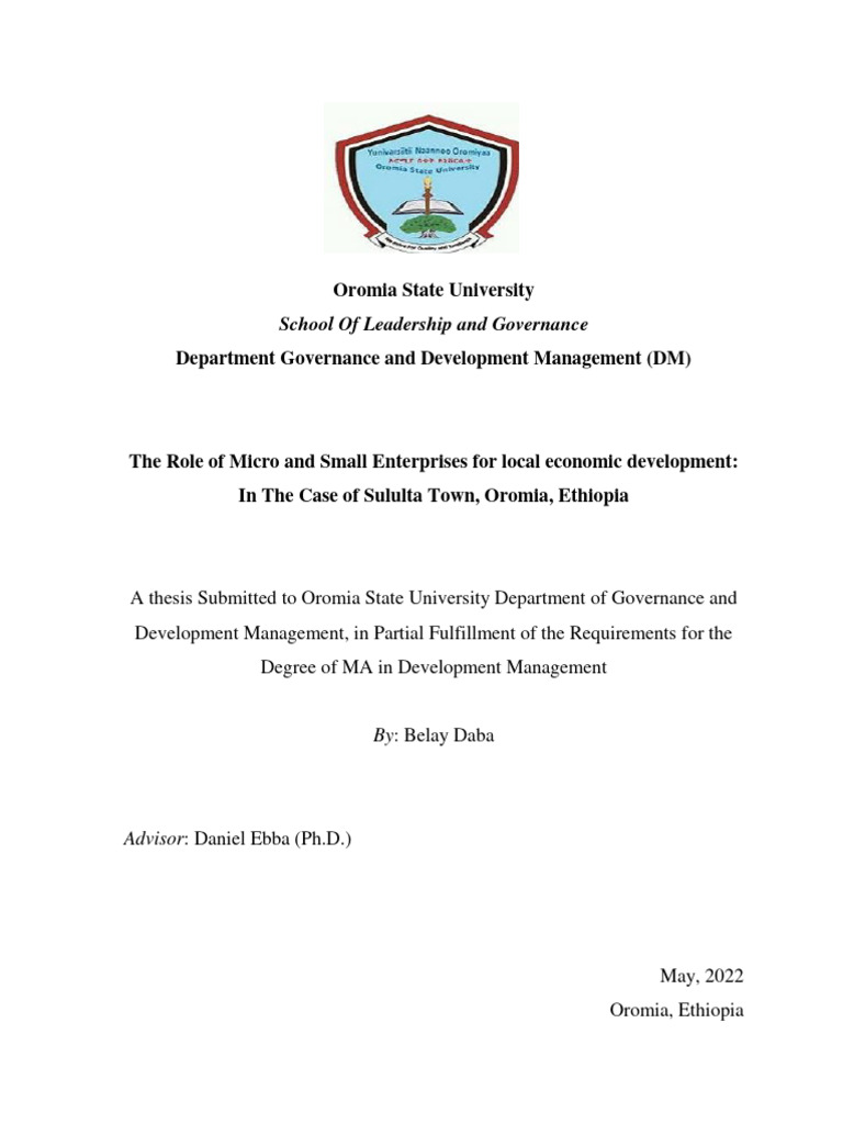 Belay Daba | PDF | Employment | Unemployment