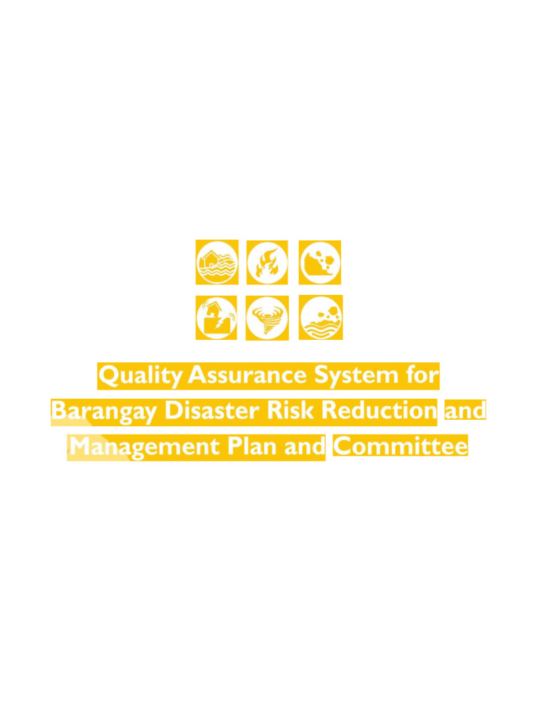 A. BDRRM Plan Template - English - Word | PDF | Hazards | Disaster Risk ...