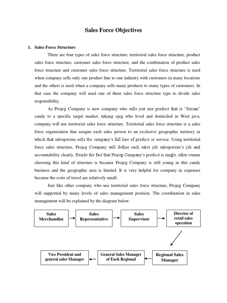 Sales Force Objectives for Projeg Company | PDF | Sales | Retail