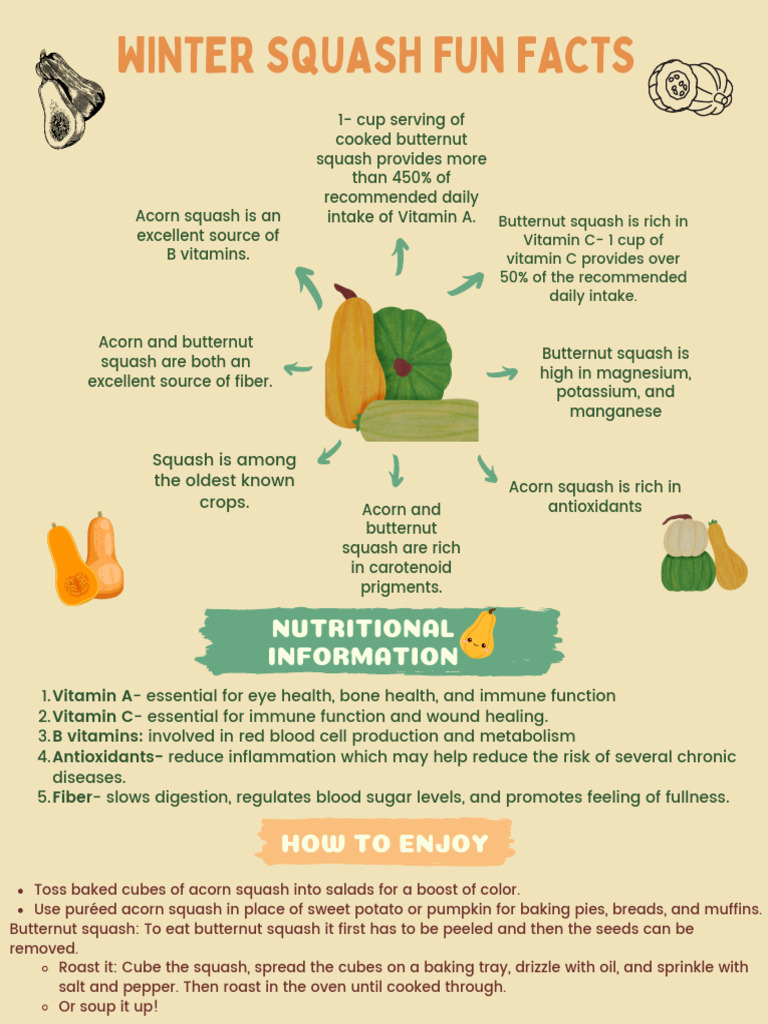 Winter Squash Fun Facts 1 | PDF | Cucurbita