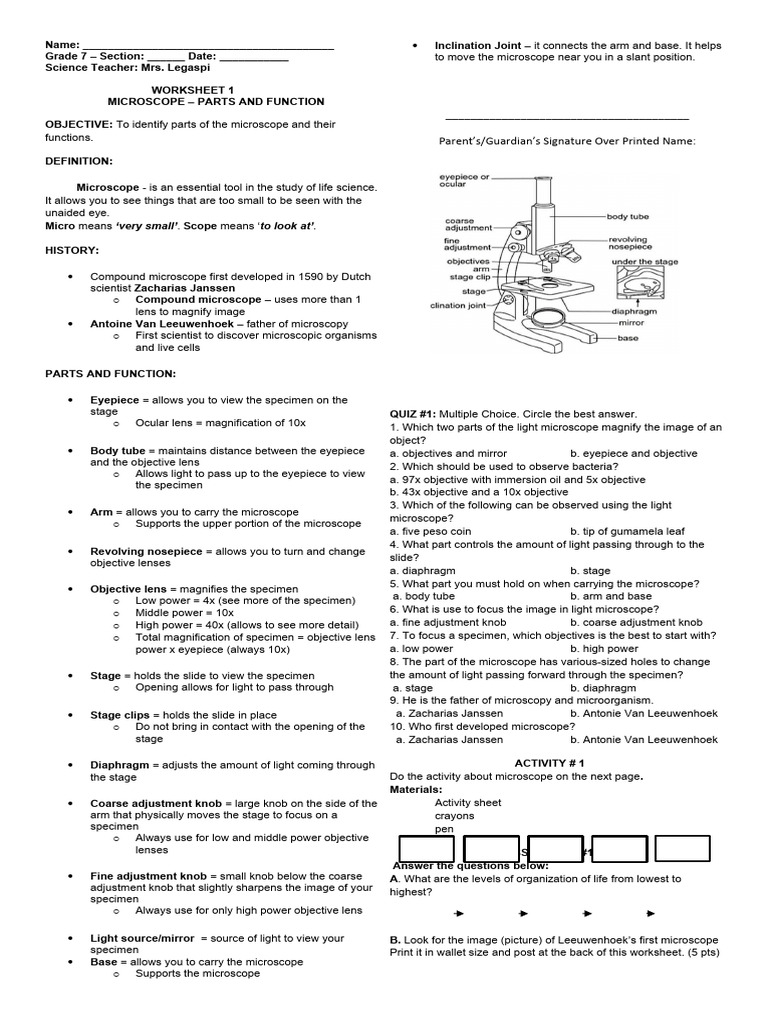 Worksheet 1. Microscope | PDF | Microscope | Laboratory Equipment