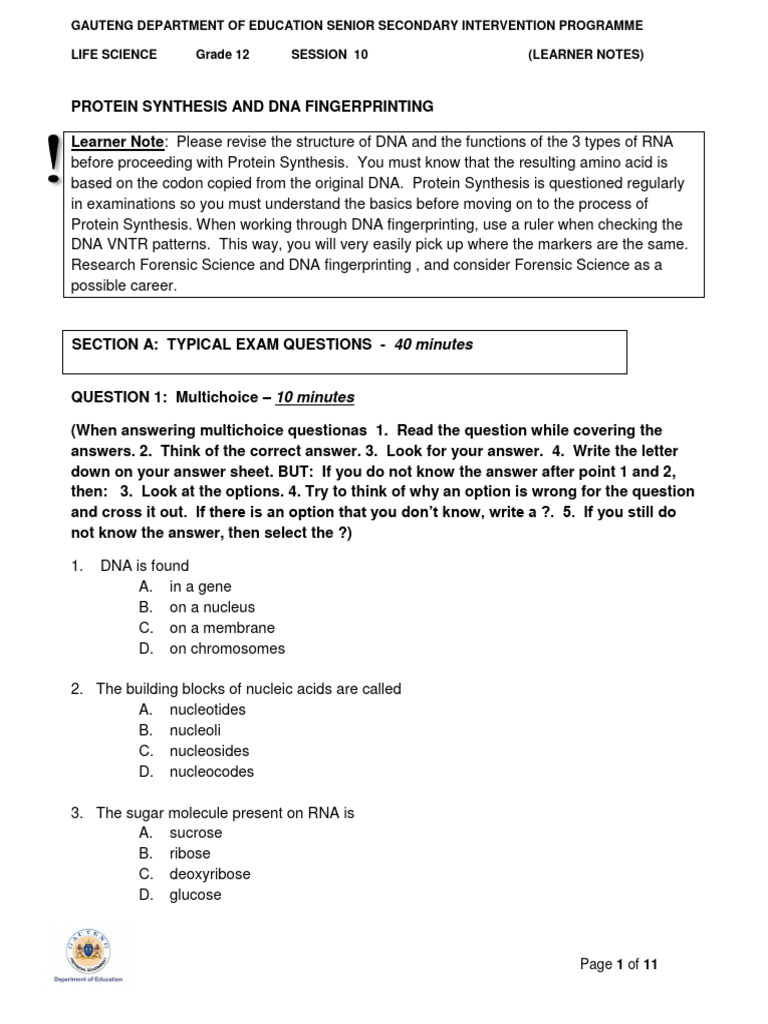 Ls GR 12 Session 10protein Synt and Dna Fingerprinting | PDF | Dna ...