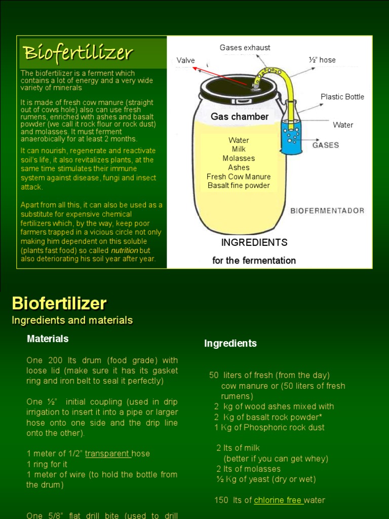 How To Make Bio Fertilizer | PDF | Manure | Cattle