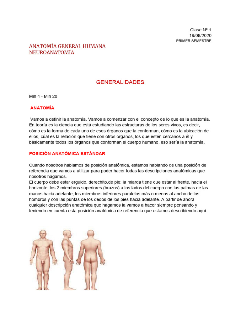 Anatomía General: Posición y Planos | PDF | Articulación | Términos ...