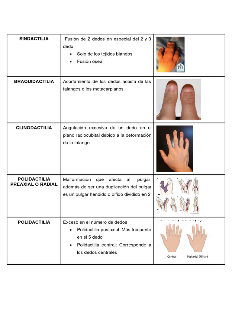 Estudio Neurodesarrollo | PDF | Enfermedades y trastornos | Medicina ...