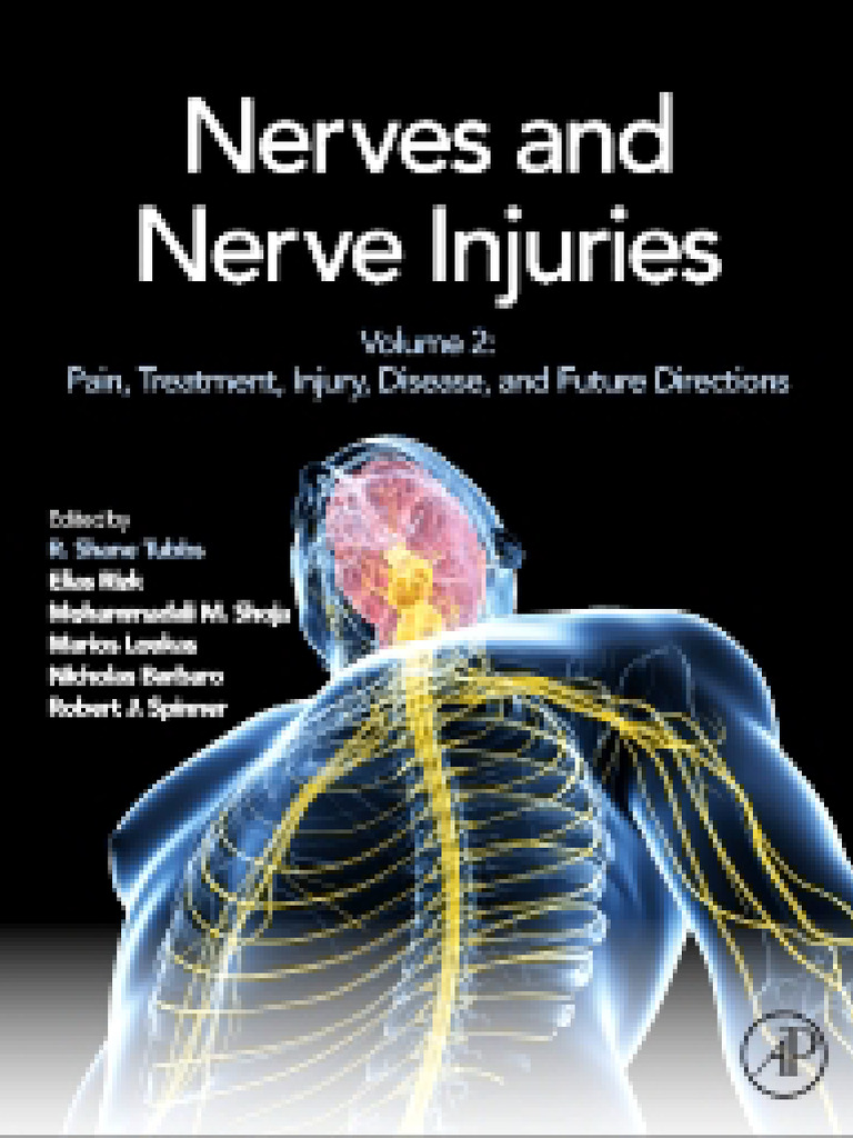 Nervios y Lesiones Nerviosas | PDF | Dolor | Neurona