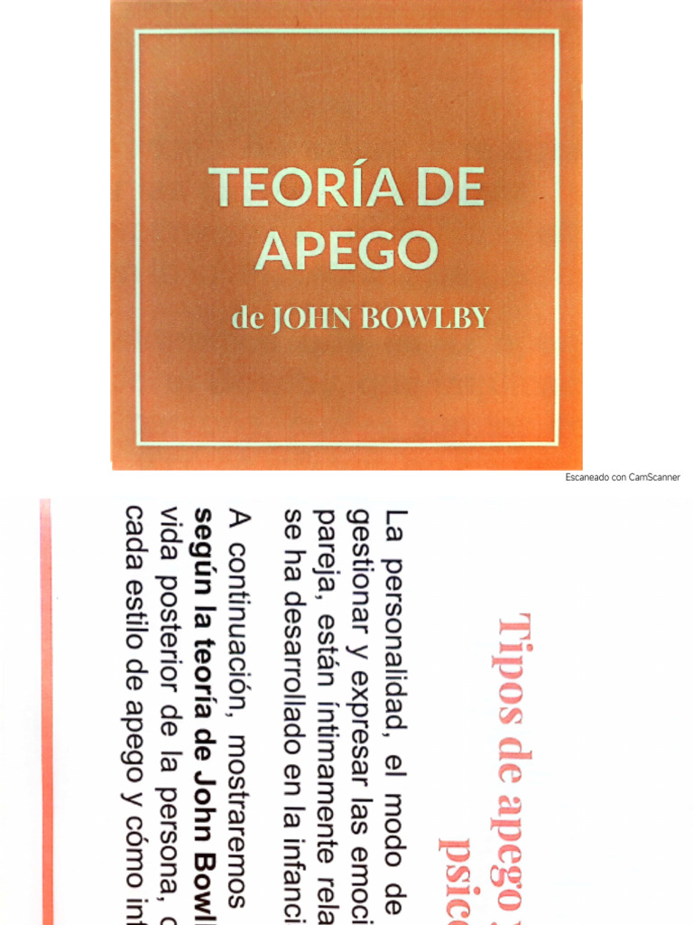 Teoría Del Apegó JOHN BOWLBY | PDF