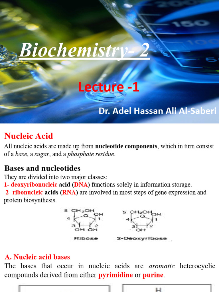 Biochemistry 2 1 | PDF | Nucleotides | Nucleic Acids