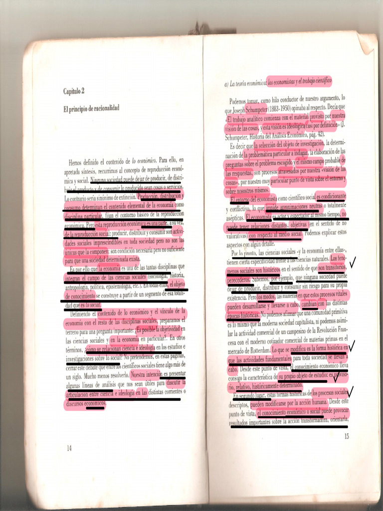 Cap 2 Burkun y Spagnolo | PDF