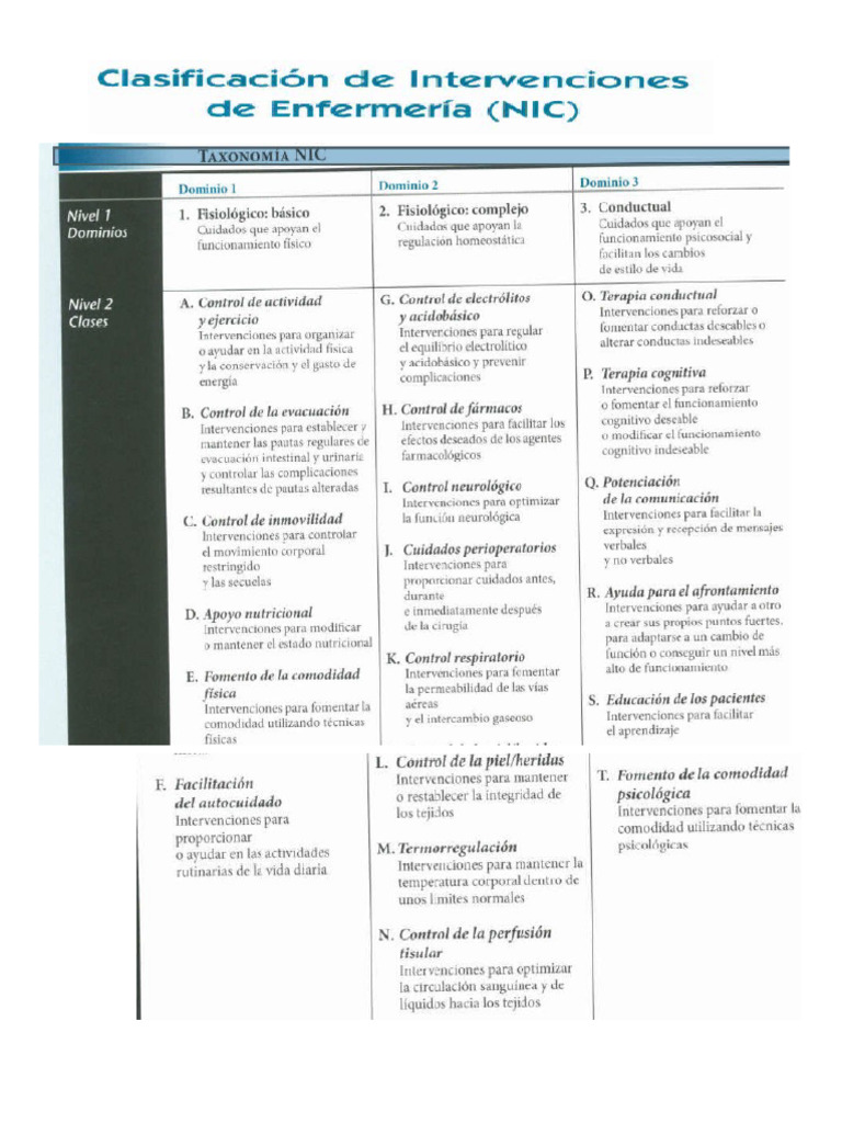 Resumen INTERVENCIONES NIC | PDF