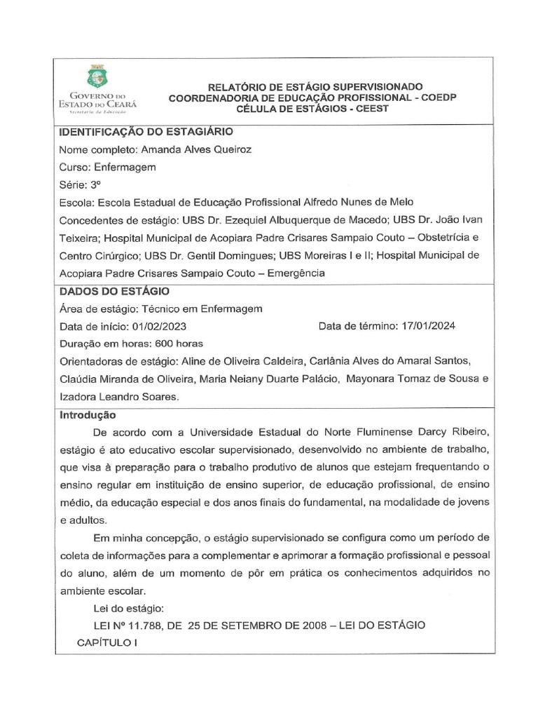 Relatorio Amanda Alves02!01!2024-123300 - Compressed | PDF | Gripe ...