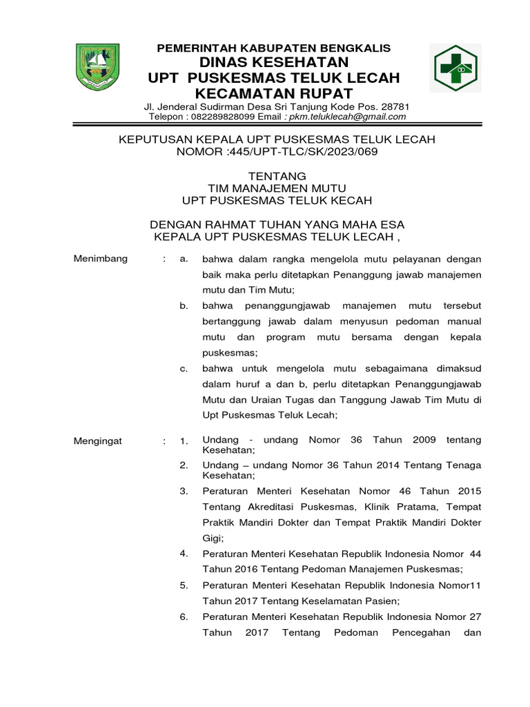 SK TIM MUTU Mutu Upt Puskesmas Teluk Lecah OK | PDF
