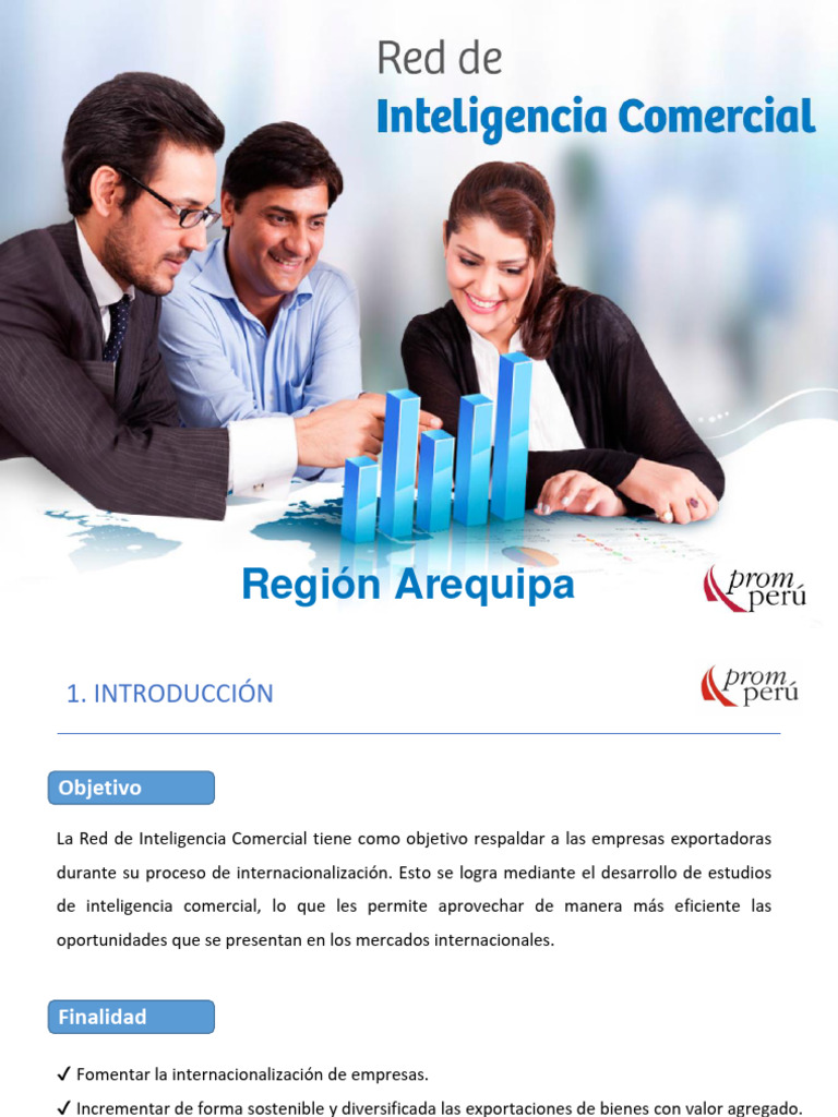 Programa Red de Inteligencia PROMPERÚ - Arequipa - 2024 | PDF | Barreras no arancelarias al ...