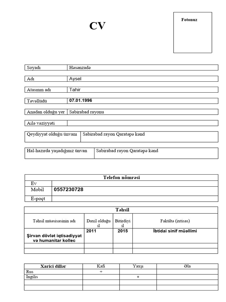 CV Aysel | PDF