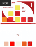 Wisc V Cuadernillo Claves y Busqueda de Simbolos | PDF