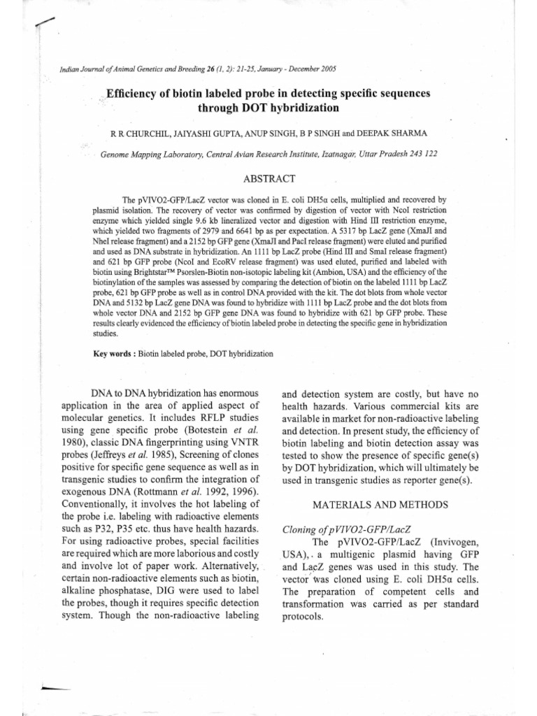 Efficiency of Biotin Labeled Probe in Detecting Specific Sequences Through DOT Hybridization | PDF
